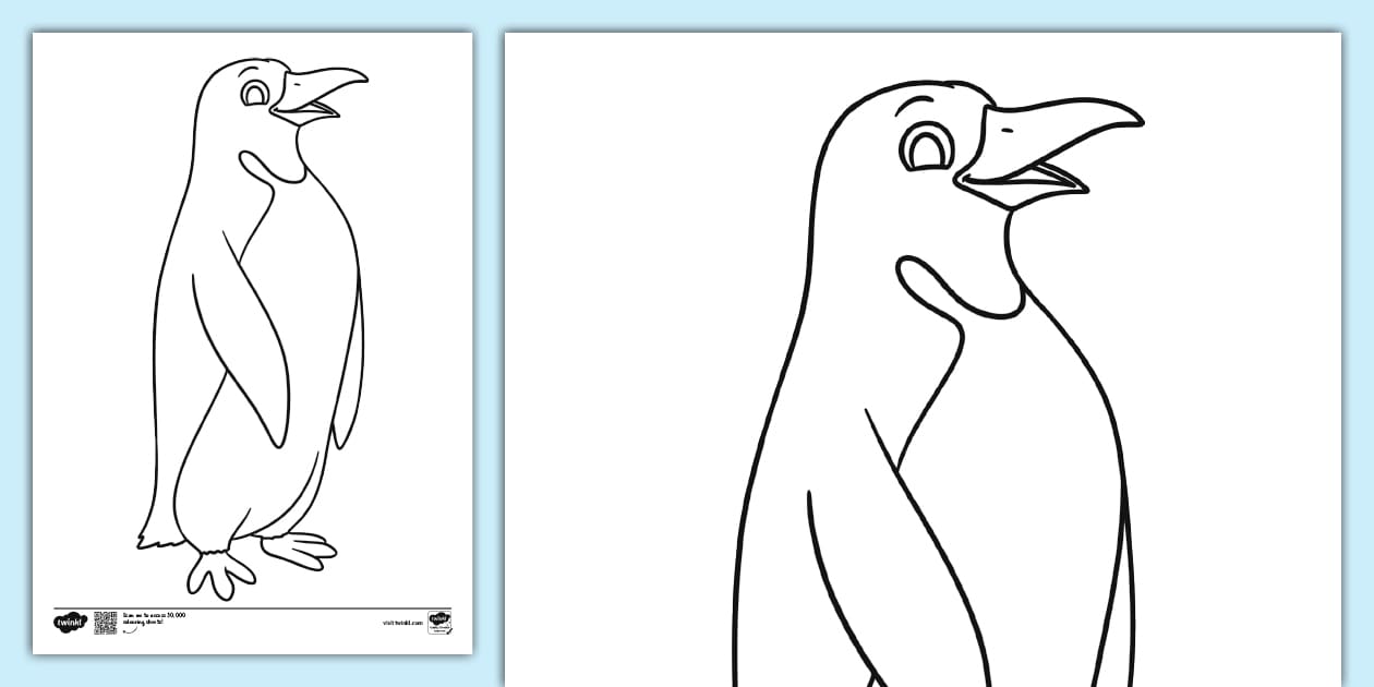 Animal Penguin Colouring | Colouring Sheets (teacher made)