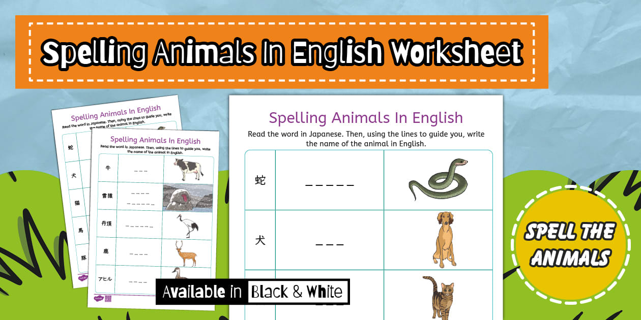 Spelling Animals In English Worksheet