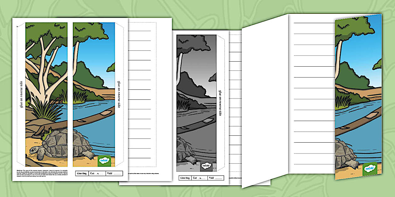 Tortoise Folding Writing Template (teacher made) - Twinkl