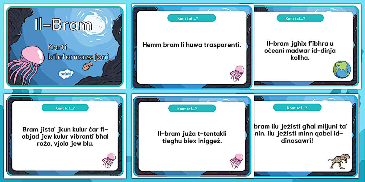 Karti b'Informazzjoni Dwar il-Bram (teacher made) - Twinkl