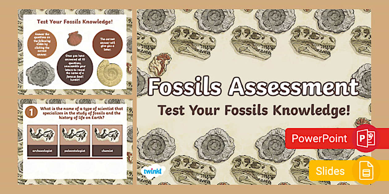 Fossils Assessment PowerPoint | Science Resource | Twinkl US