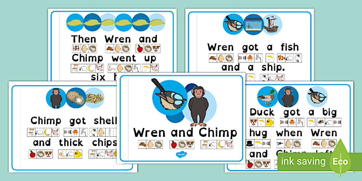 Visual Cue Phonics Wren and Chimp Digraph and Silent Letter Decodable ...