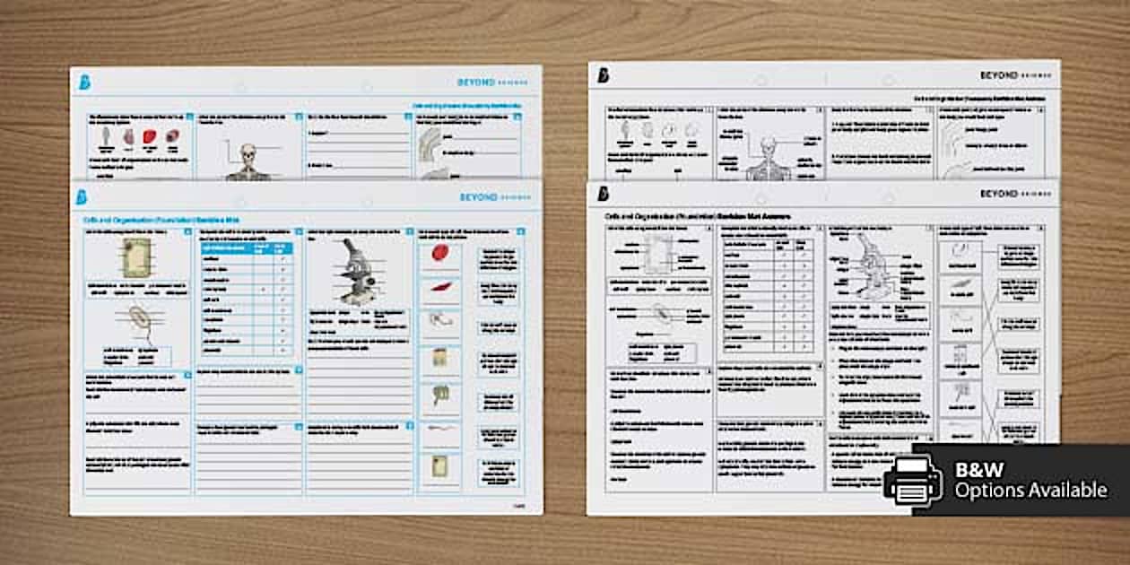 Cells and Organisation Revision Mat | KS3 Biology | Beyond