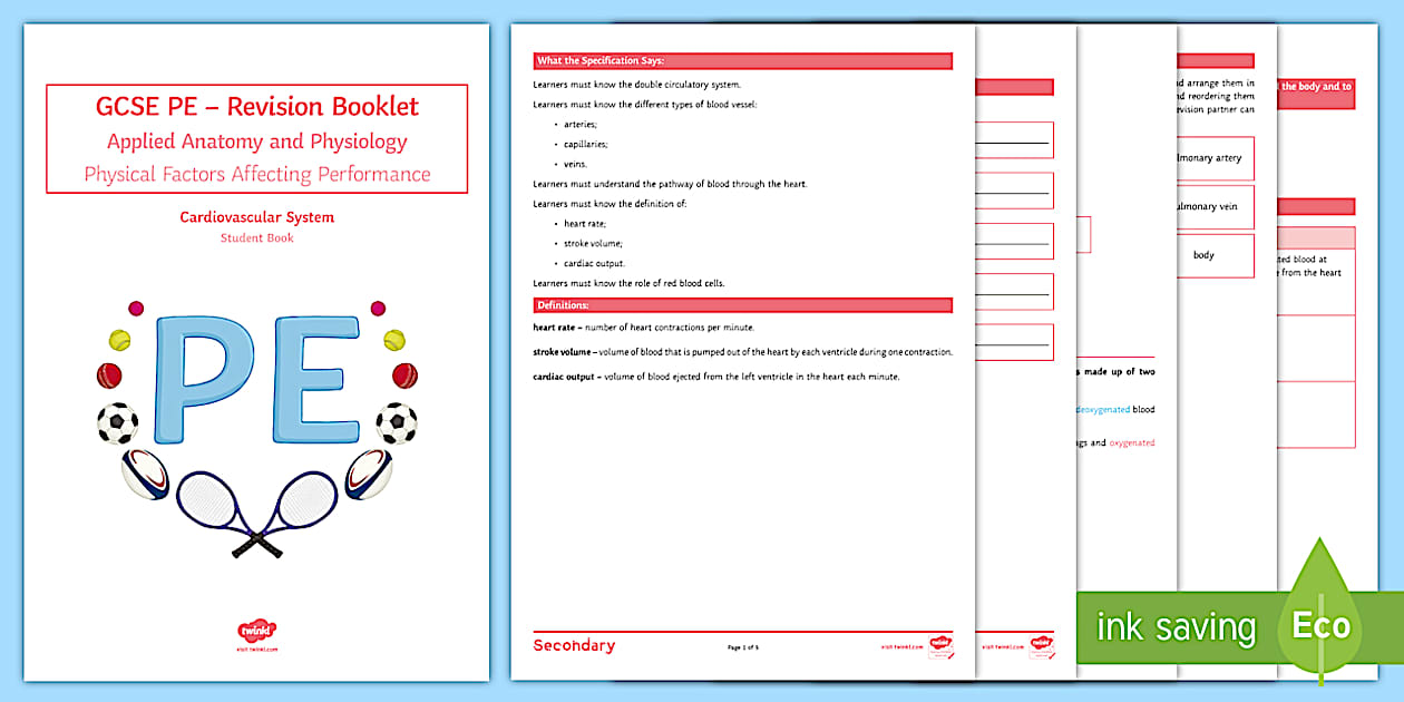 GCSE PE: The Cardiovascular System Revision Booklet - Twinkl