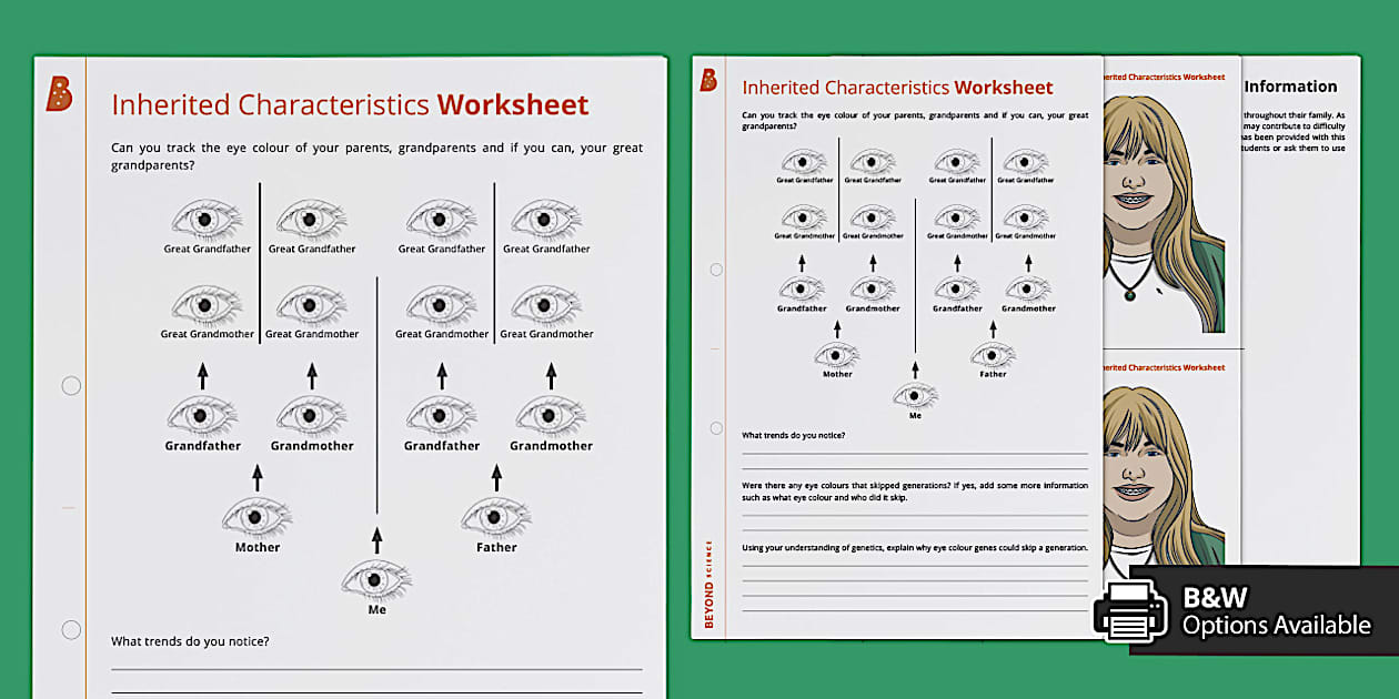 Inherited Characteristics Worksheet - Twinkl