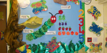 Minibeasts - Twinkl Classroom Display Photos