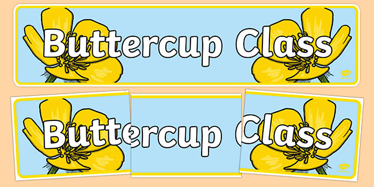 Buttercup Themed Classroom Display Banner (teacher made)