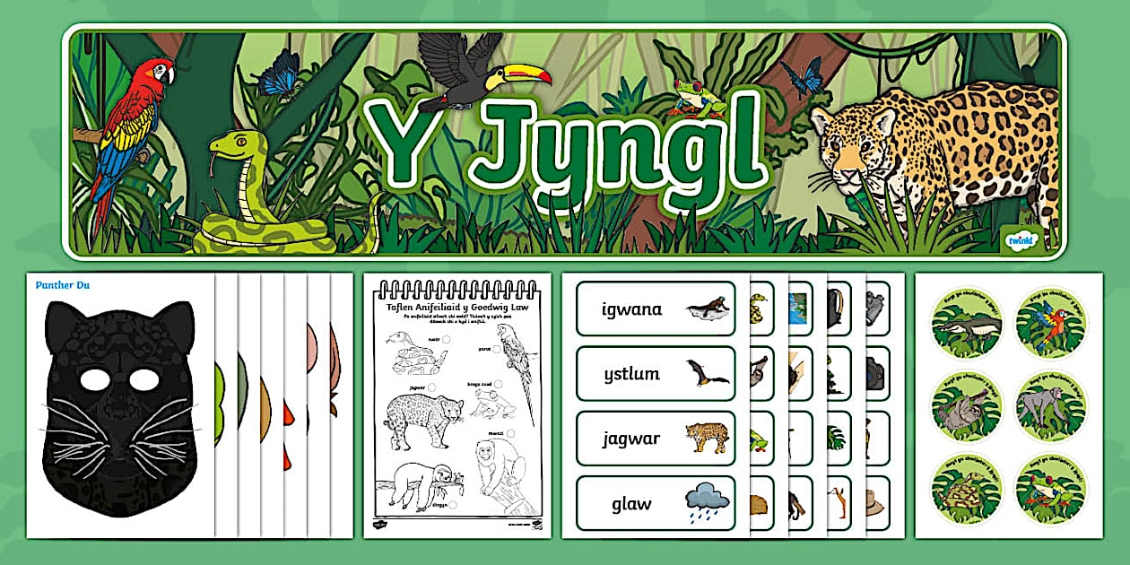 Pecyn Chwarae Rôl: Chwilotwyr y Jyngl (Teacher-Made)