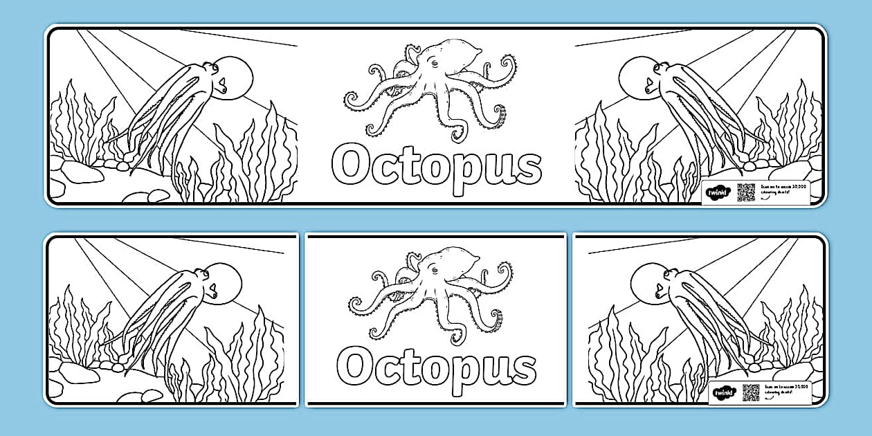 Octopus Colouring Display Banner (teacher made) - Twinkl