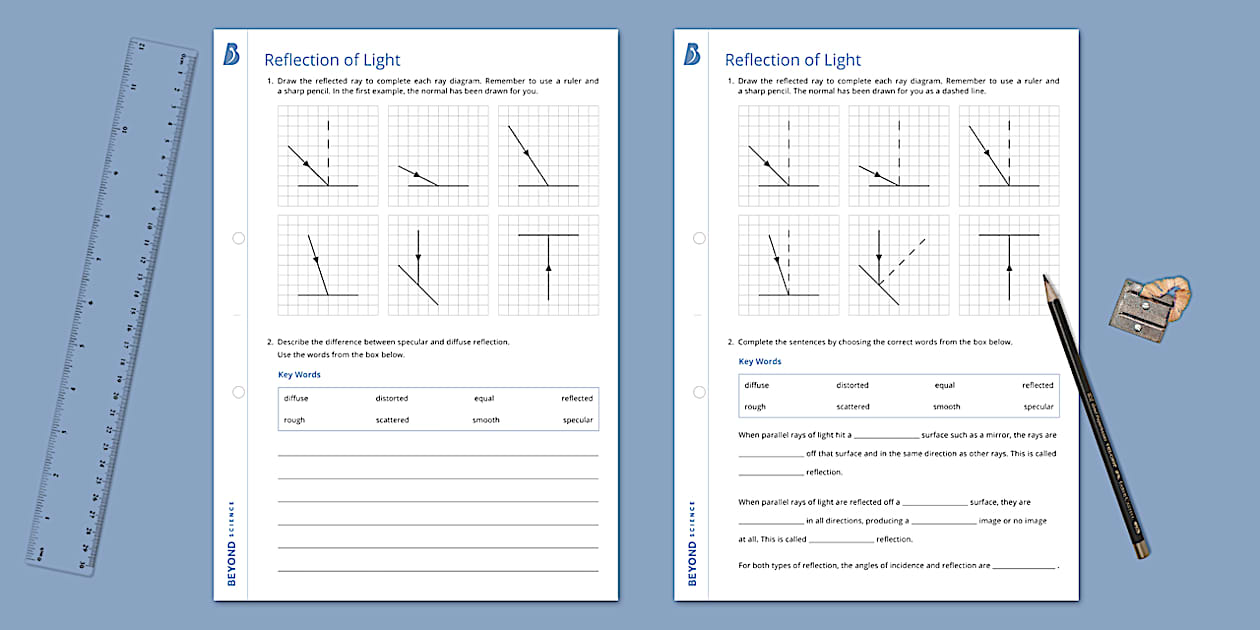 Reflection Homework Worksheet / Worksheet (teacher made)