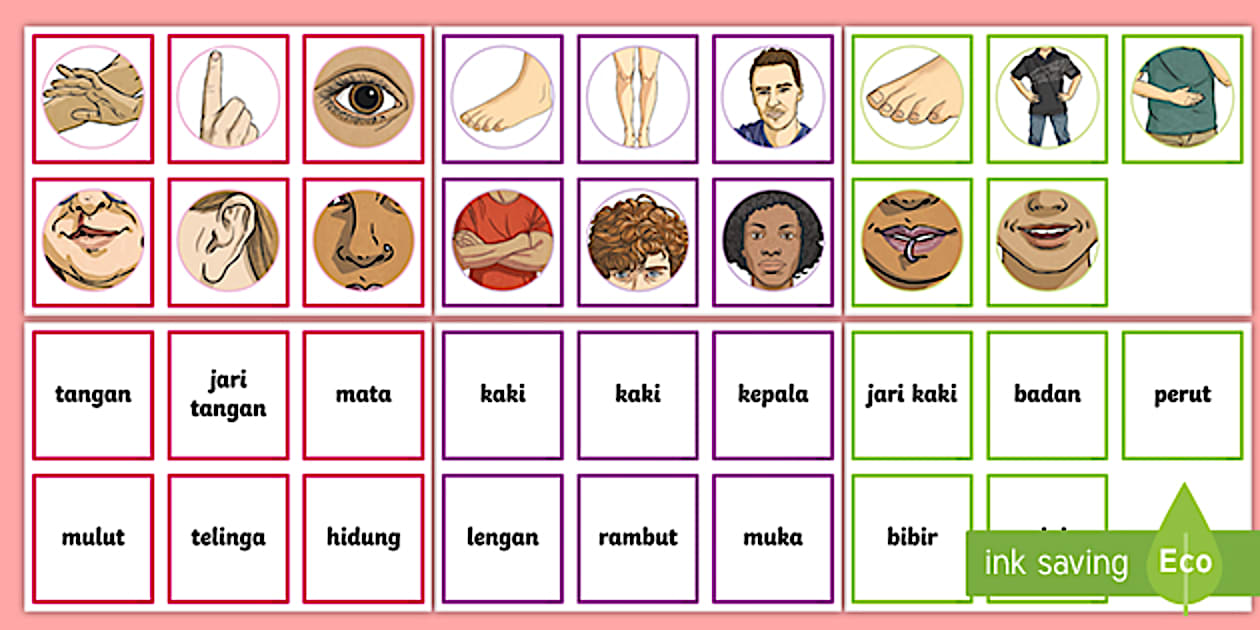 My Body Matching Cards - Indonesian (Teacher-Made) - Twinkl