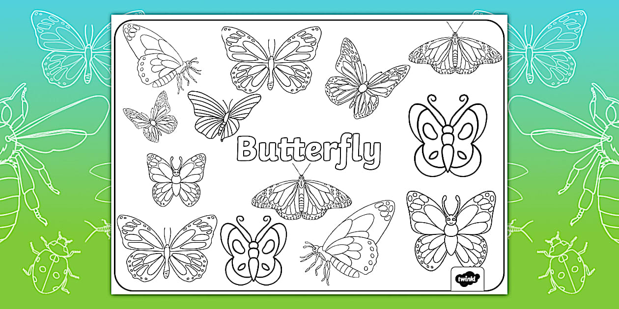 Butterfly Doodle Colouring Page (teacher made) - Twinkl