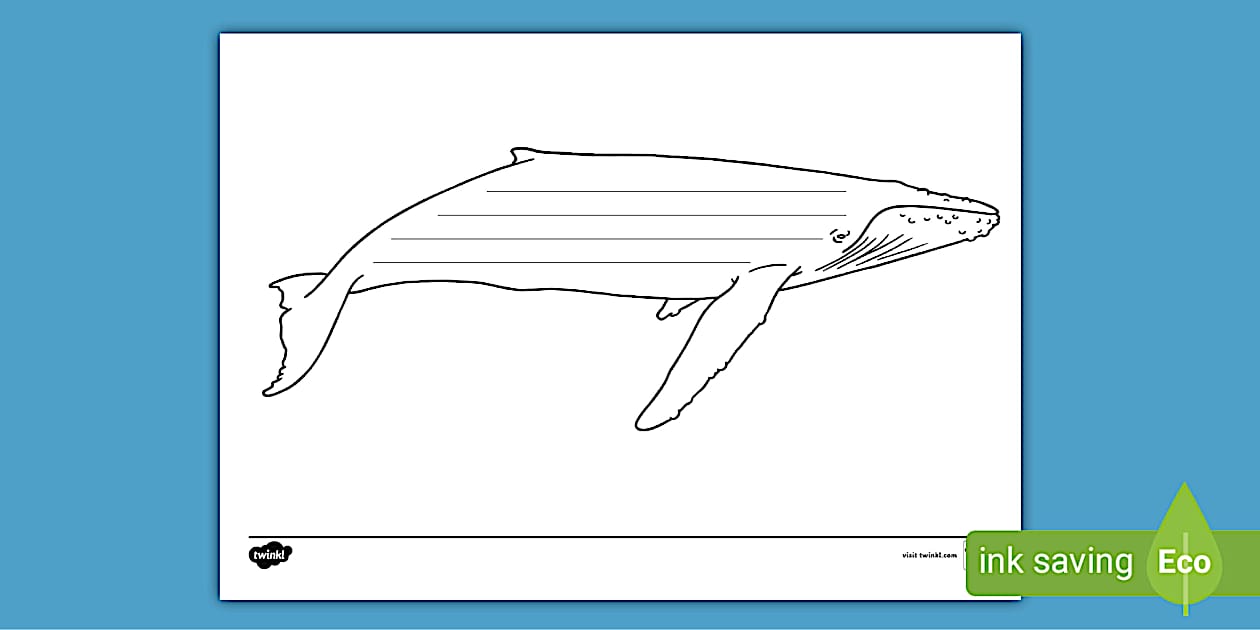 Humpback Whale Writing Template (teacher made) - Twinkl