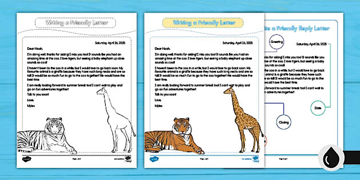 Writing a Friendly Reply Letter Mentor Text and Activity