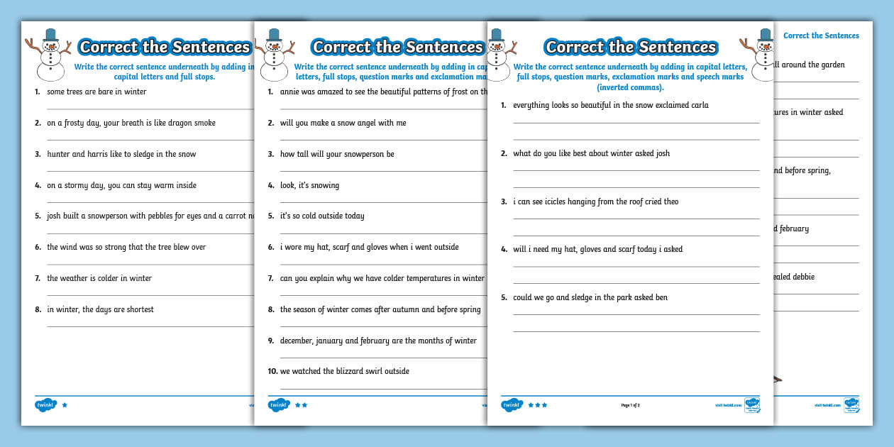Correct the Sentences - Winter Activity Sheet (Teacher-Made)