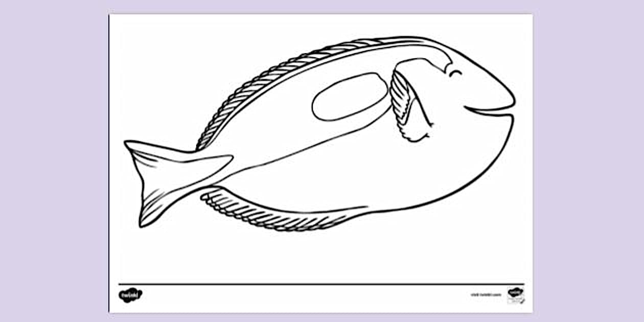 Blue Tang Colouring | Colouring Sheet (teacher made)