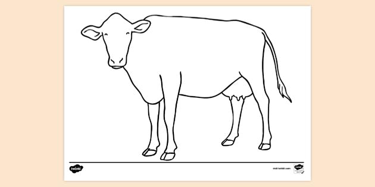 Cow Colouring Sheet | Colouring Pages (teacher made)