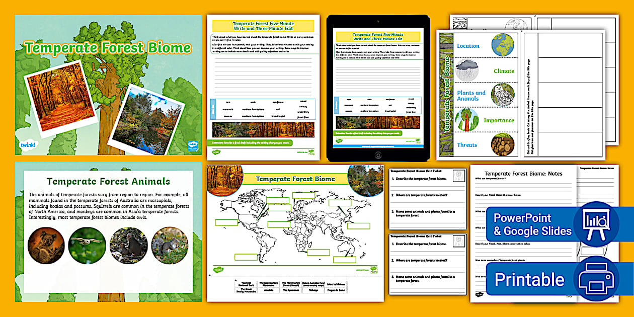 Temperate Forest Biome Lesson Pack for 3rd-5th Grade
