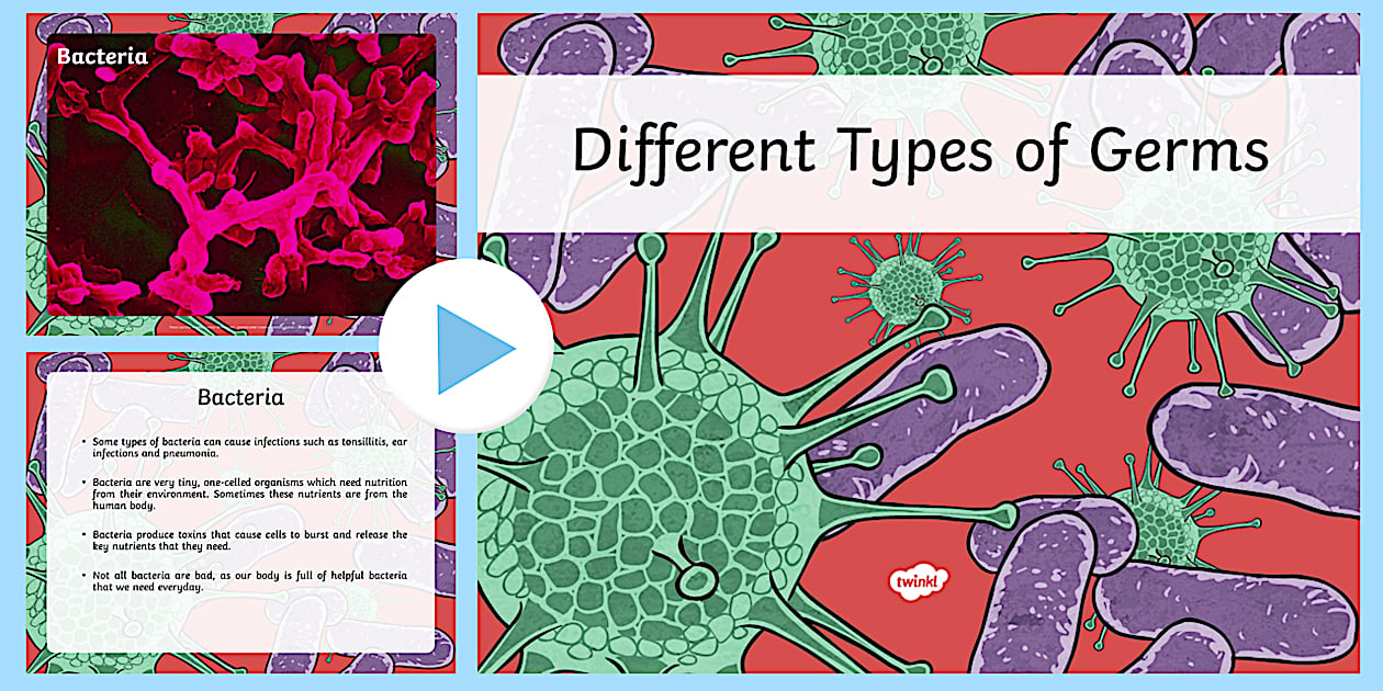 Types of Germ PowerPoint (teacher made) - Twinkl