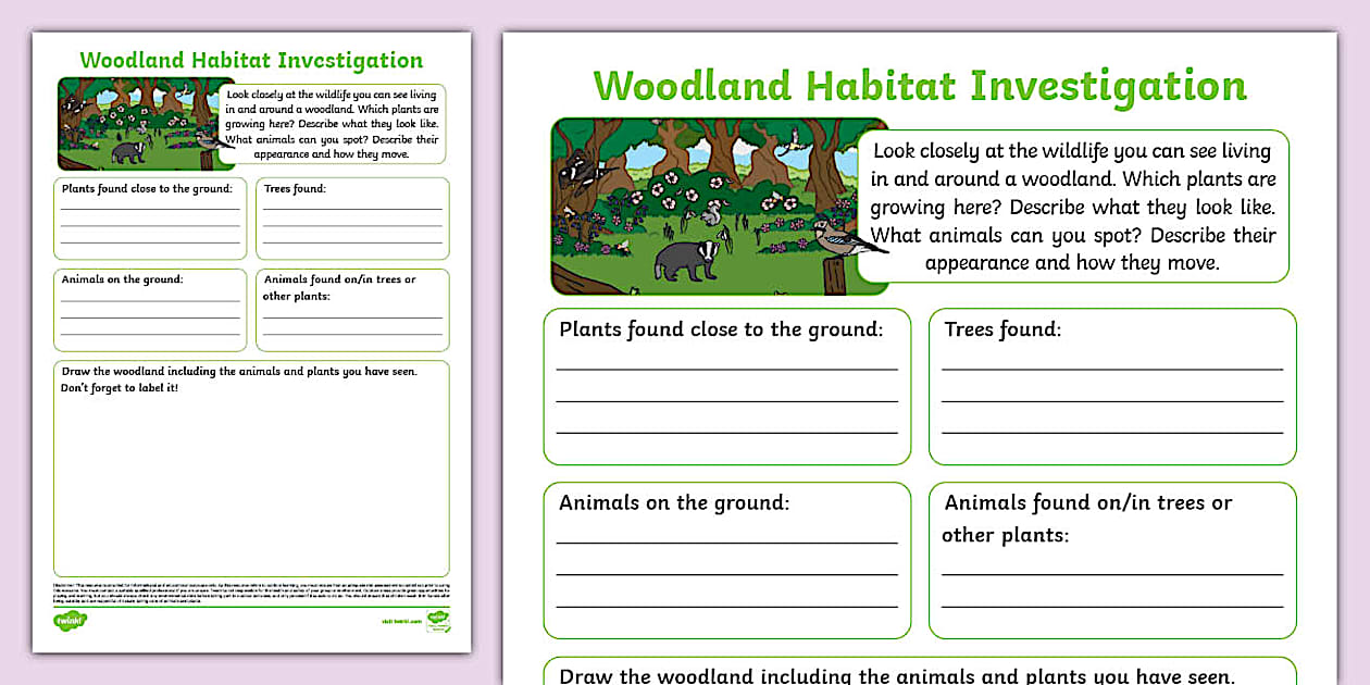 Woodland Habitat Investigation Worksheet - Twinkl