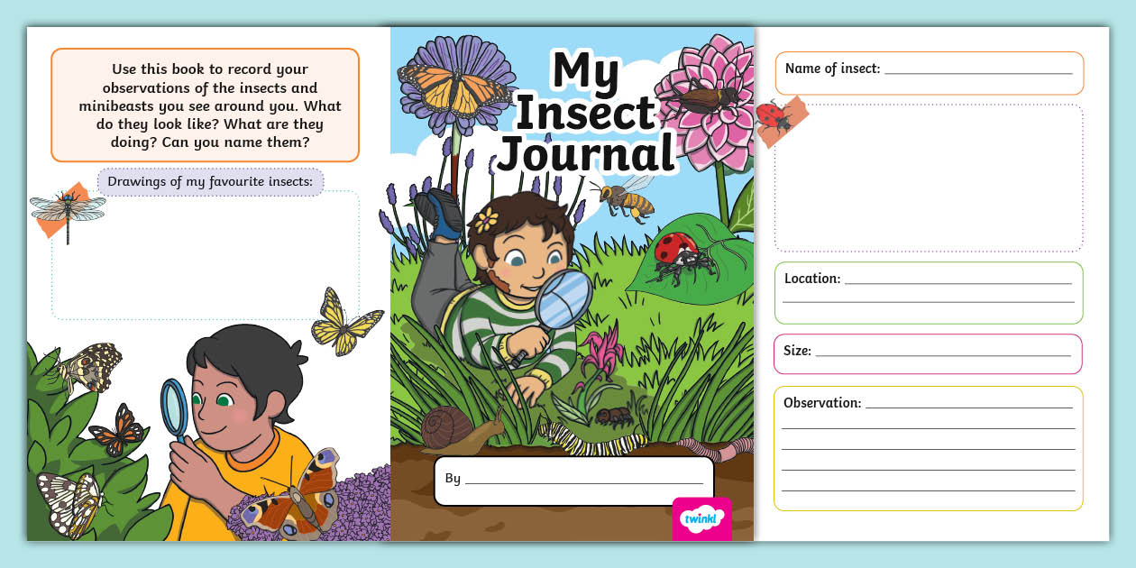 My Insect Journal Writing Frame - Twinkl