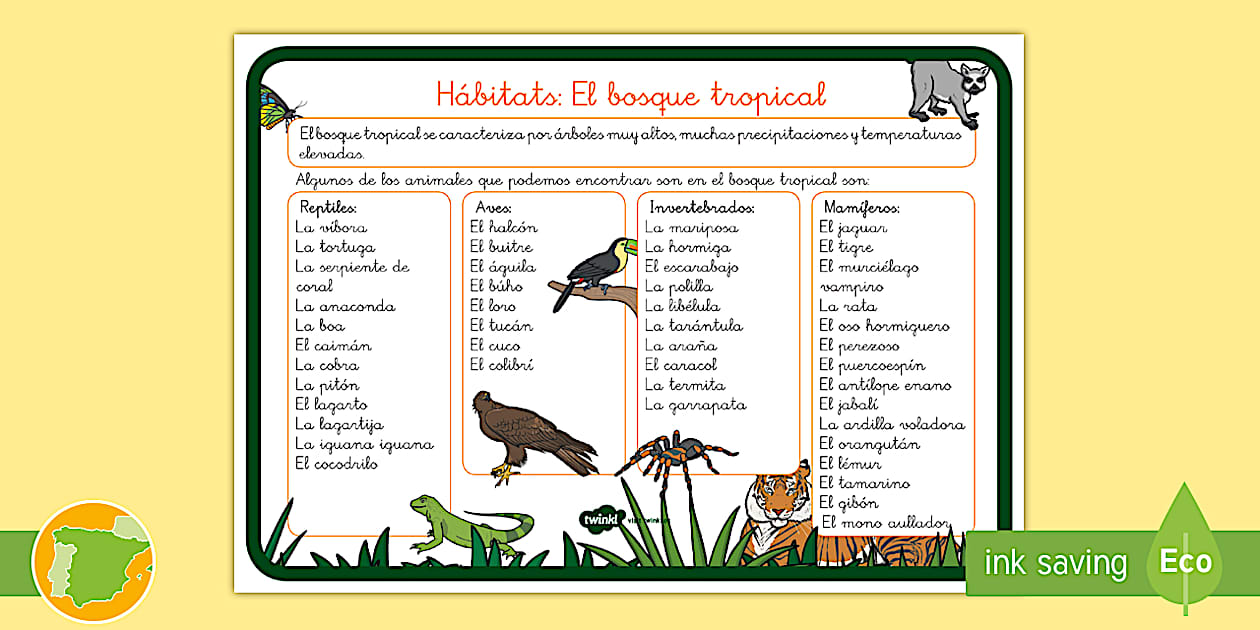 Hoja informativa: Hábitats - El bosque tropical - Twinkl