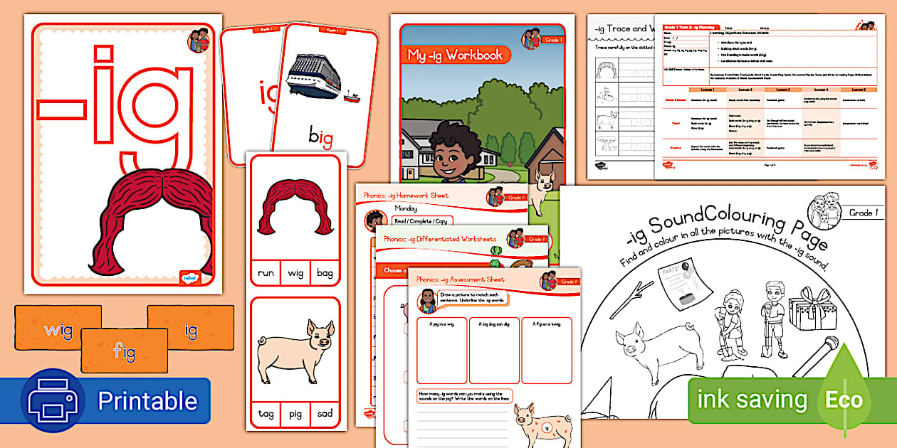 Grade 1 Phonics Pack -ig (teacher made) - Twinkl