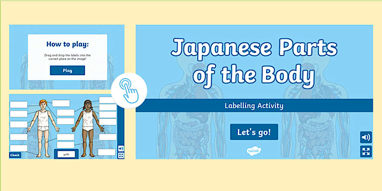 Japanese Parts of the Body Labelling Activity Hiragana