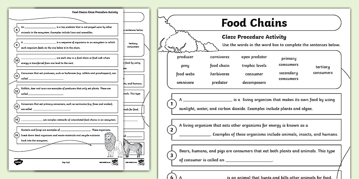Complete the Chain Activity (teacher made) - Twinkl