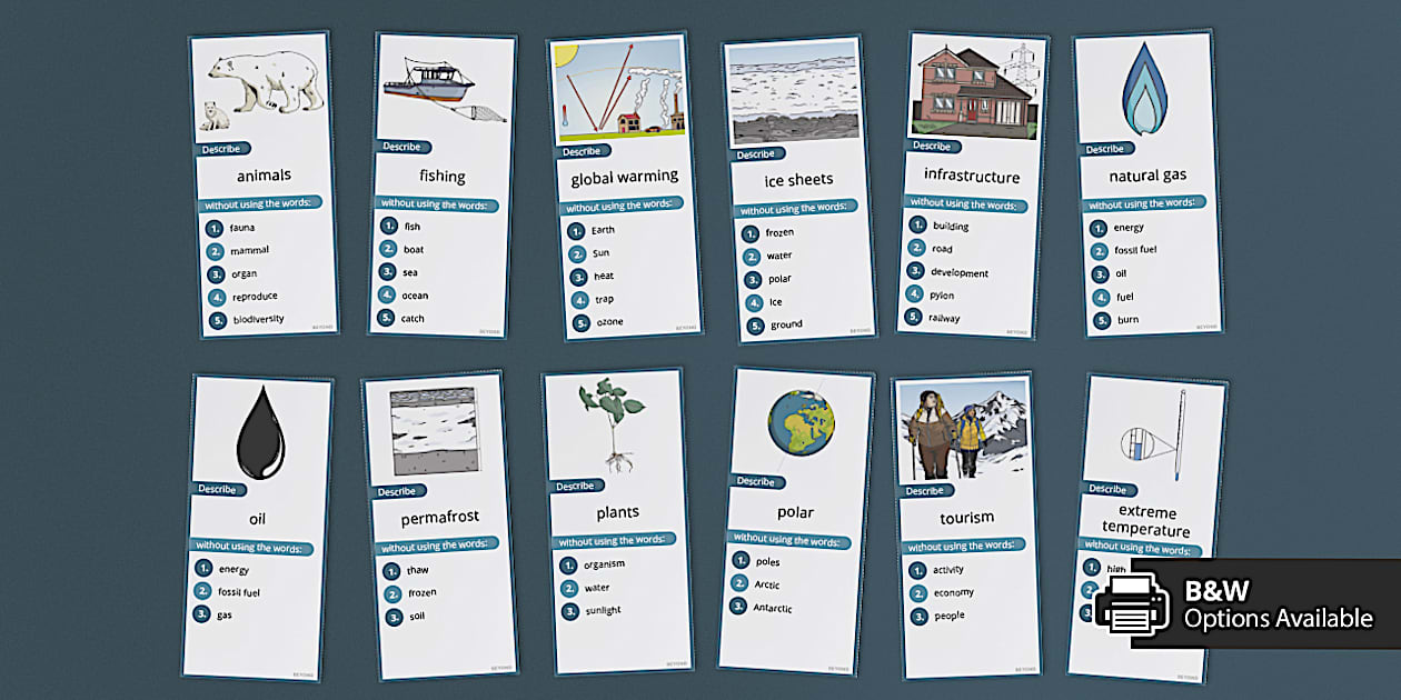 GCSE KS4 AQA Cold Environments Can You Guess? Cards - Twinkl