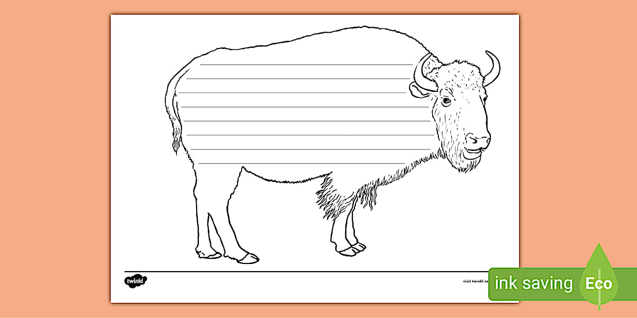 Bison Writing Template (teacher made) - Twinkl