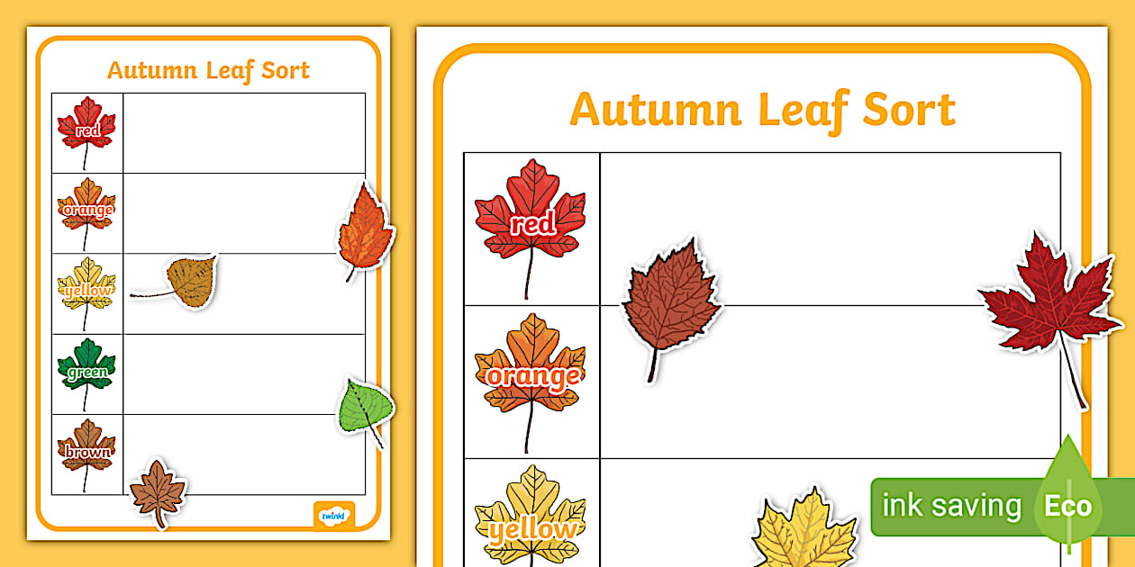 Autumn Leaf Sorting Chart |Twinkl (teacher made) - Twinkl