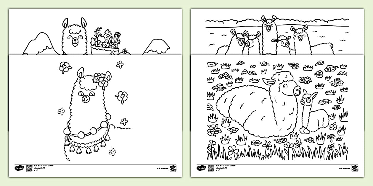 Llama Colouring Pages (teacher made) - Twinkl