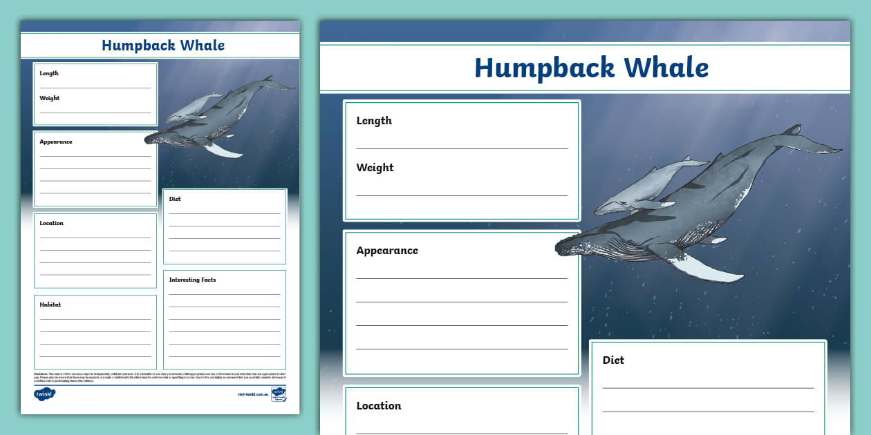 Humpback Whale Fact File Template (Teacher-Made) - Twinkl