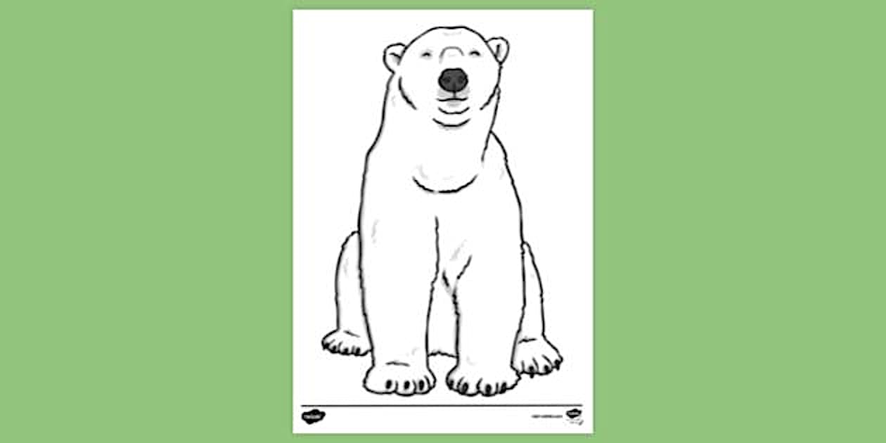 Polar Bear Colouring Sheet 5 | Colouring Sheets - Twinkl