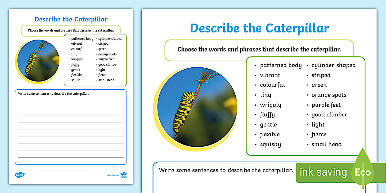 Describe the Caterpillar,caterpillar (teacher made) - Twinkl
