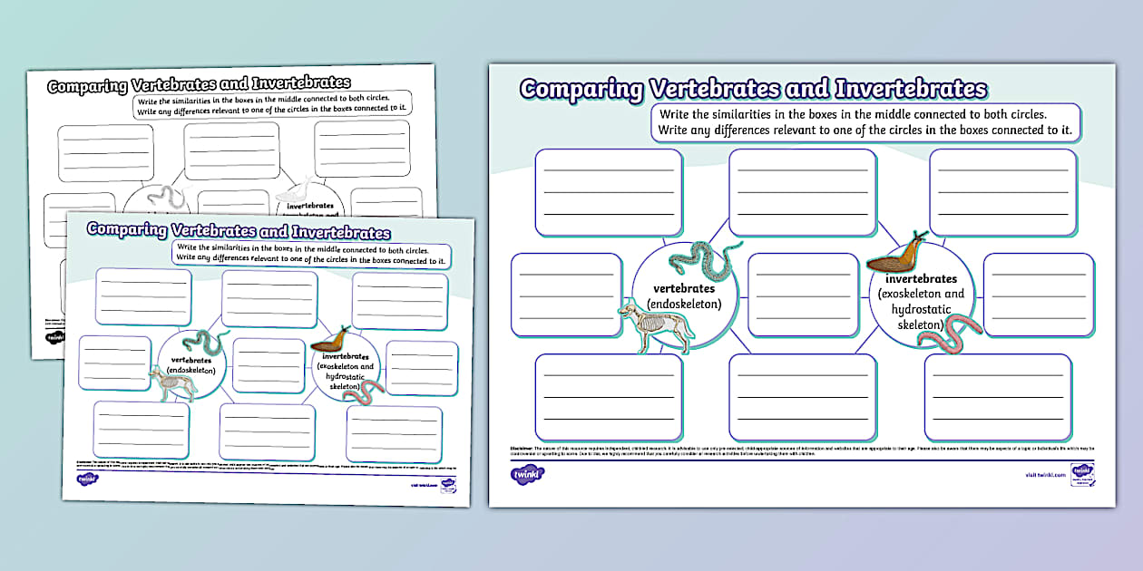Comparing Vertebrates and Invertebrates Mind Map - Twinkl