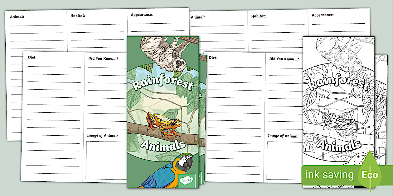 Rainforest Animals Leaflet Template (teacher made) - Twinkl
