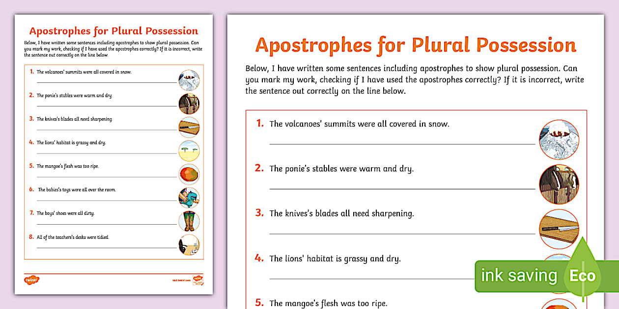 Mark My Work! Apostrophes for Plural Possession - Twinkl