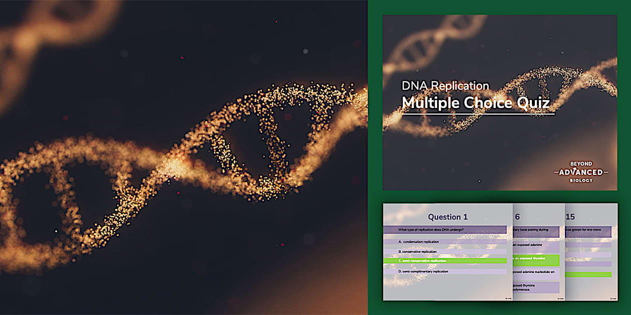 A Level Biology: DNA Replication Multiple Choice Quiz