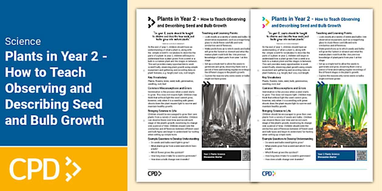 Year 2 Science:Observe and Describe How Seeds and Bulbs Grow