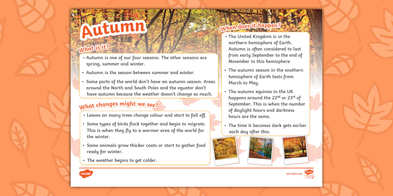 Autumn Fact File (teacher made) - Twinkl