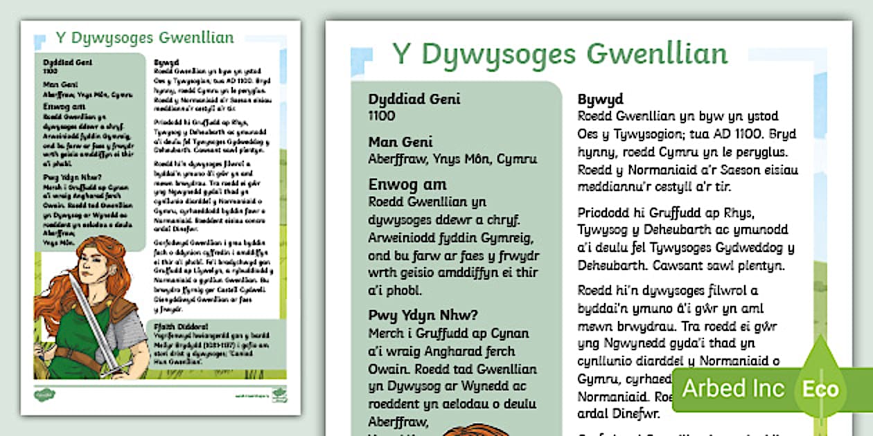 Ffeil Ffeithiau Y Dywysoges Gwenllian (teacher made)