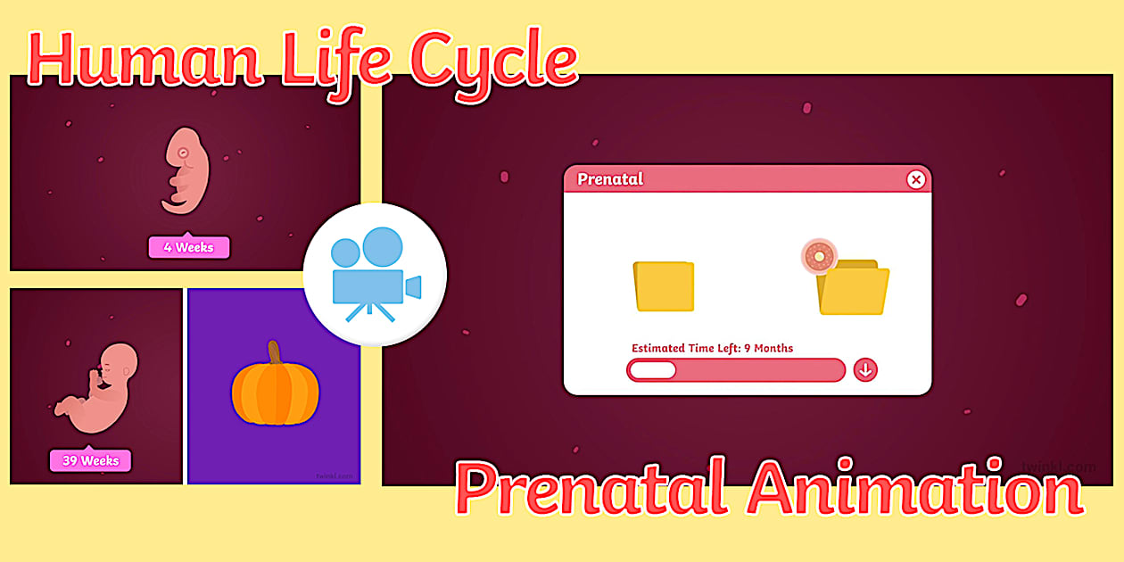 Knowledge Organisers: KS2 Prenatal Animation | Twinkl Go!