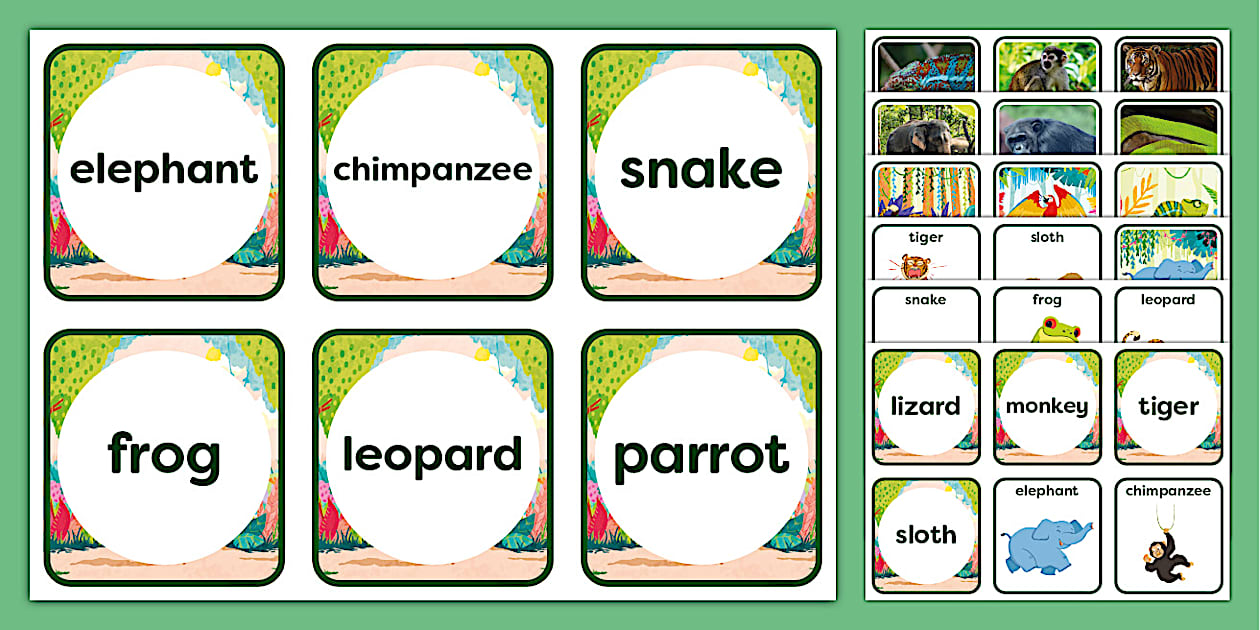 Jungle Animal Matching Game Printable | Matching Cards