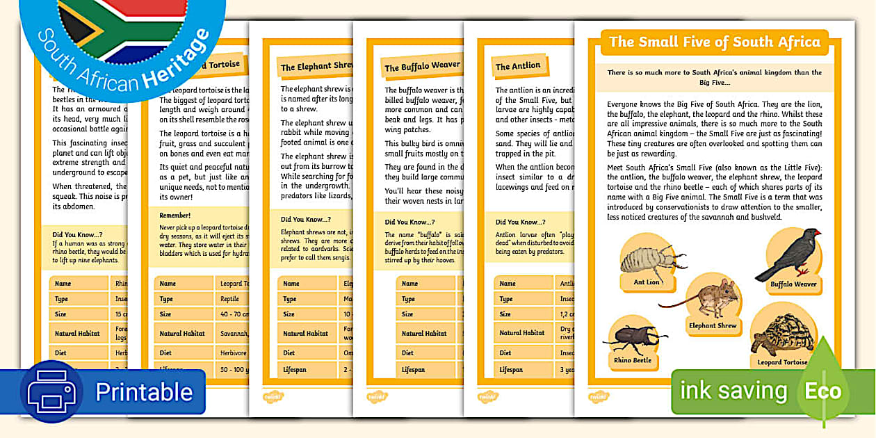 Small Five Animals Comprehension - South Africa - Twinkl