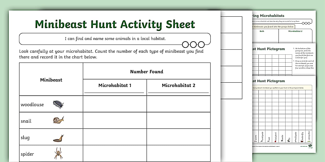 Minibeast Hunt and Pictogram Activity (teacher made)