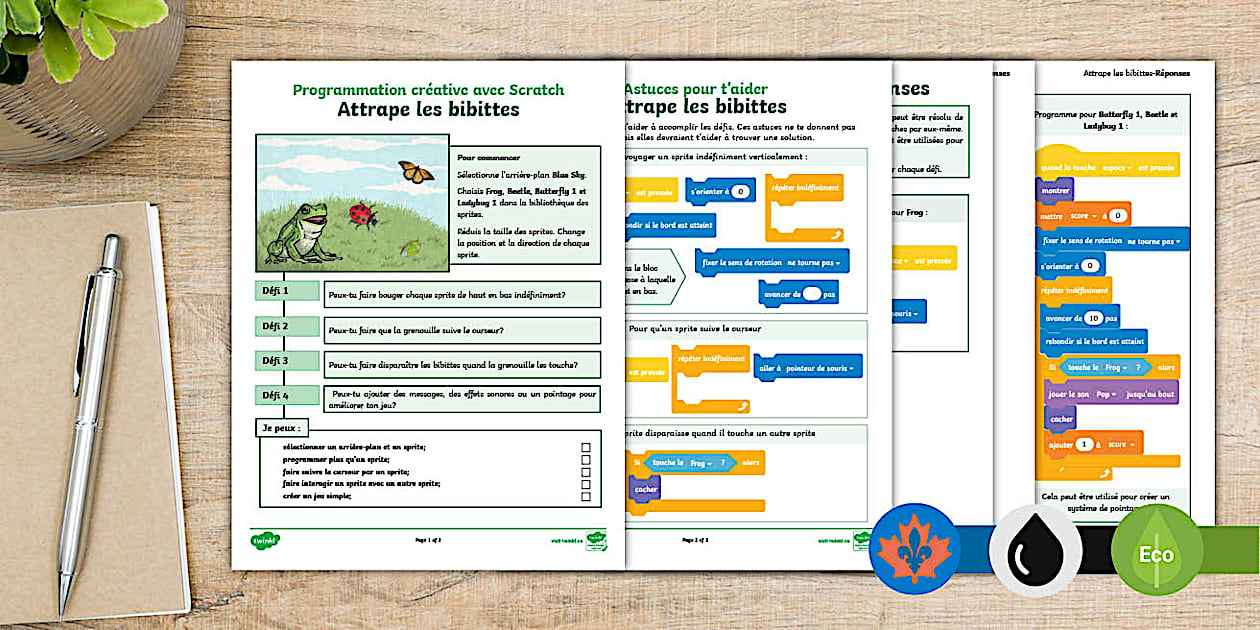 Creative Coding with Scratch: Catch the Bugs French - Twinkl