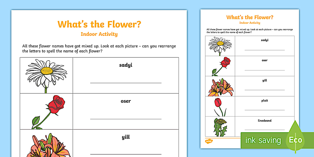 Flower Word Unscramble Worksheet / Worksheet - Twinkl