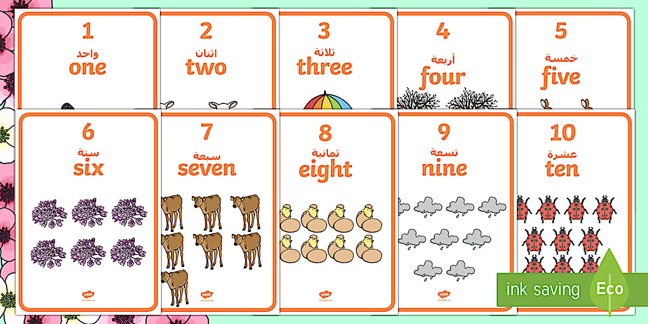 Spring Themed 1-10 Word and Number Display Posters Arabic/English - Winter